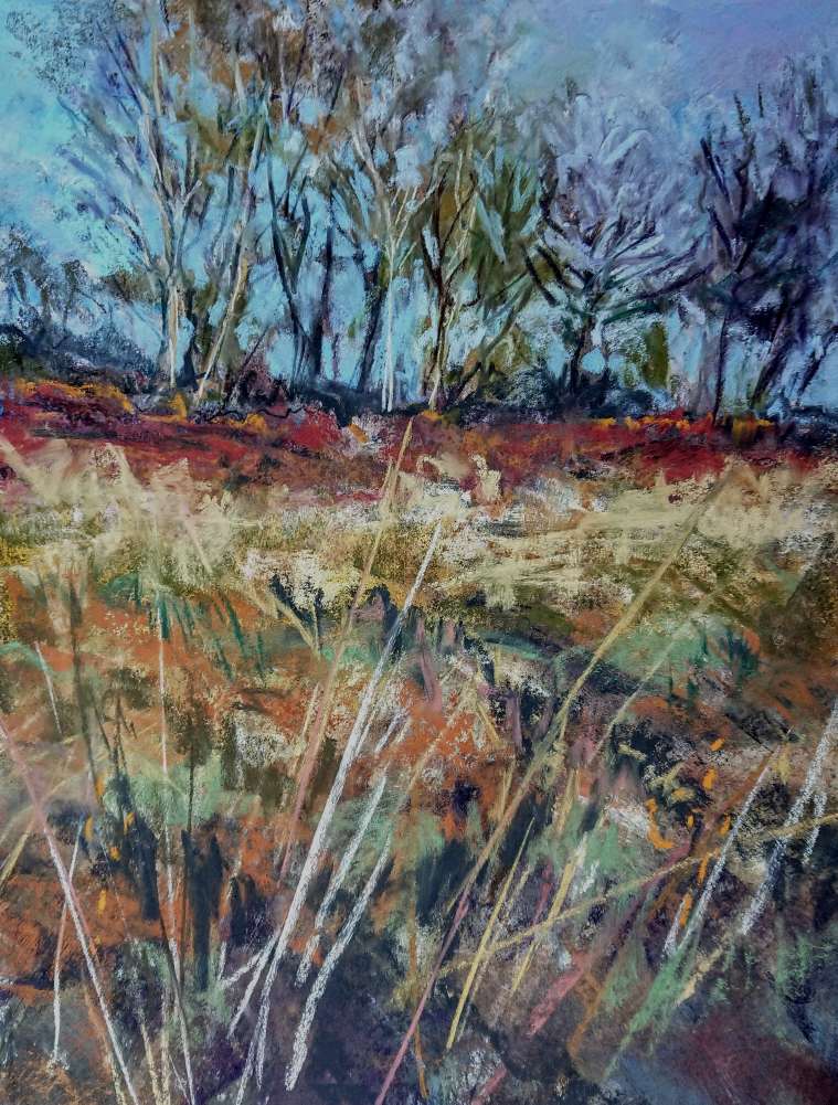 Louise Garrett - Saltaire Inspired