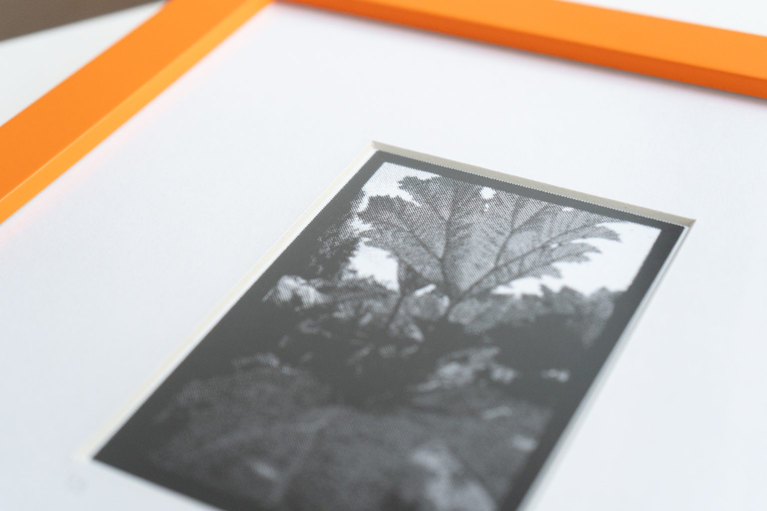 Open Village 2023 - Saltaire Inspired